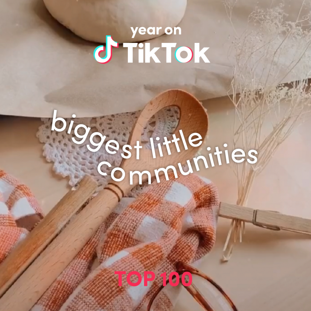 TikTok Top 10 - Biggest Little Communities: Top niche communities ...